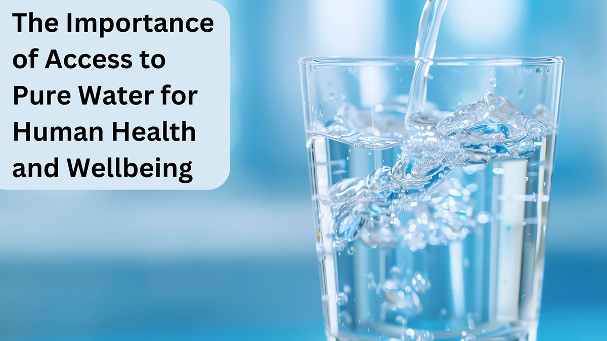 Importance of Pure Water for Human Health and Wellbeing